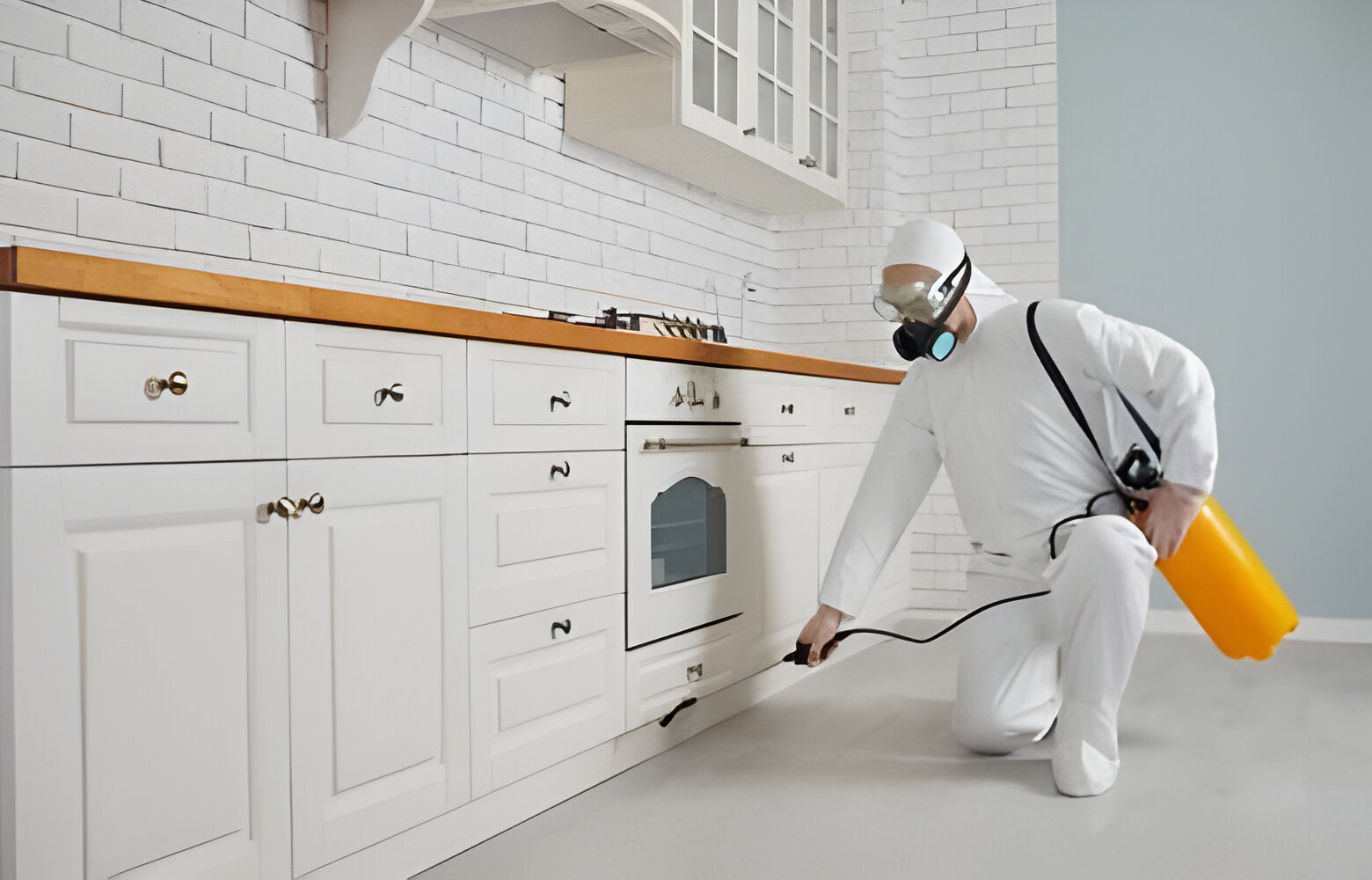 Ant Control - Haleema Cleaning and Technical Services LLC