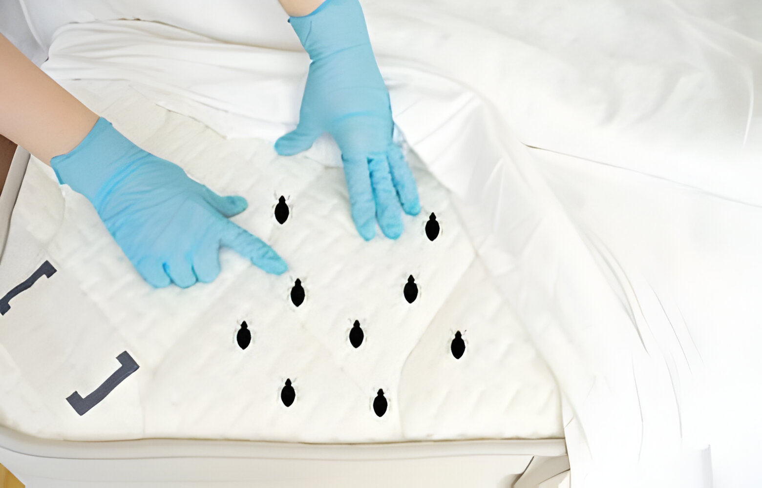 Dust Mites Control - Haleema Cleaning and Technical Services LLC